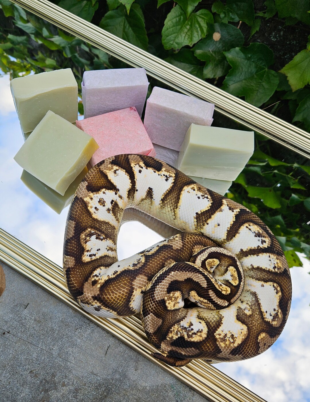 Woodland Elves- Snake Shed Soap (ugly) - Etsy
