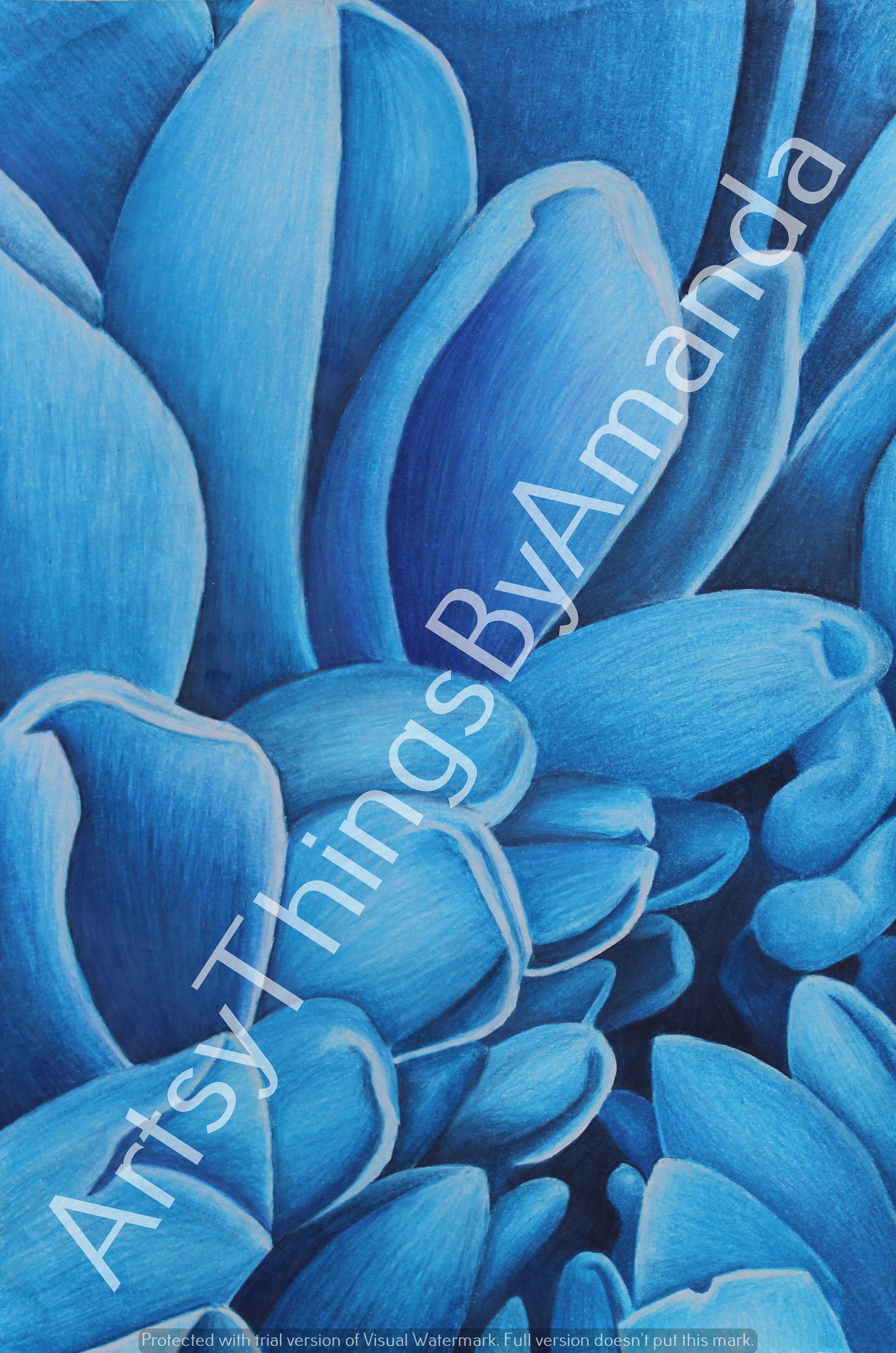 Blue Flower Drawing ~ Colored Pencil - Etsy