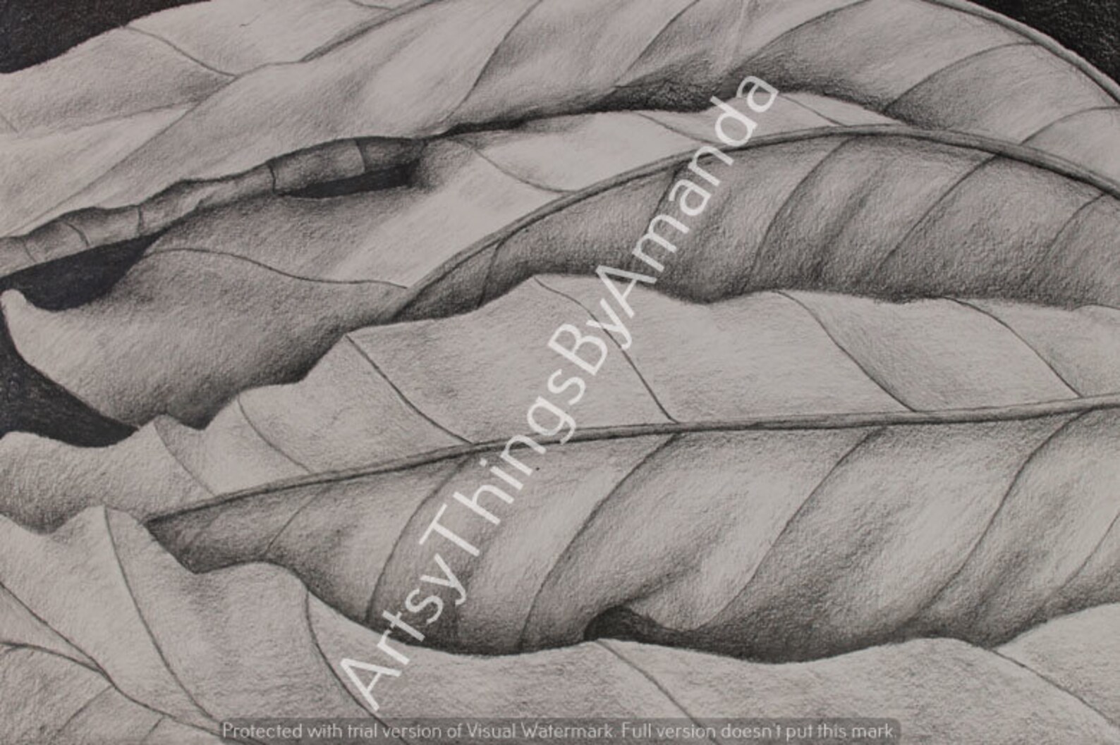 Leaves Drawing ~ Pencil - Etsy