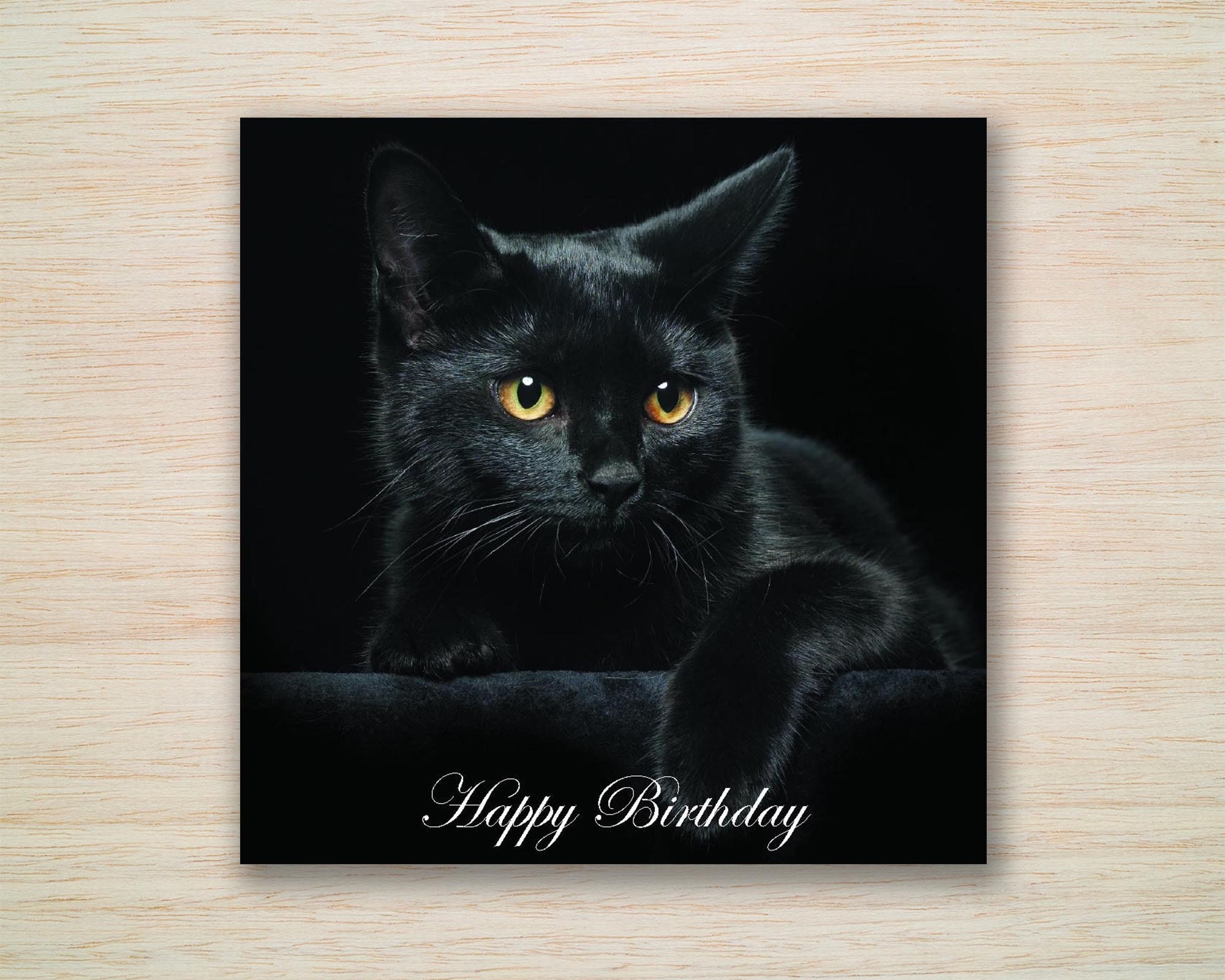Black Cat Happy Birthday Card Perfect for Cat Lovers Blank - Etsy UK