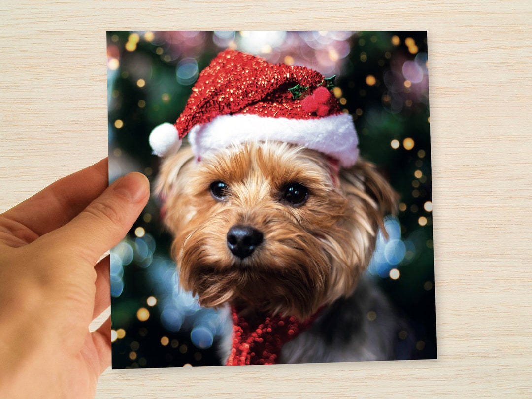 Yorkshire Terrier Christmas Cards & Packs From the Yorkie Christmas ...