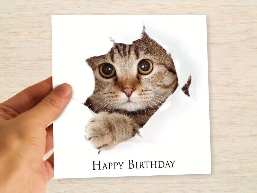 Tabby Cat Birthday Card Cat Kitten Happy Birthday Cat Card for Cat Mum ...