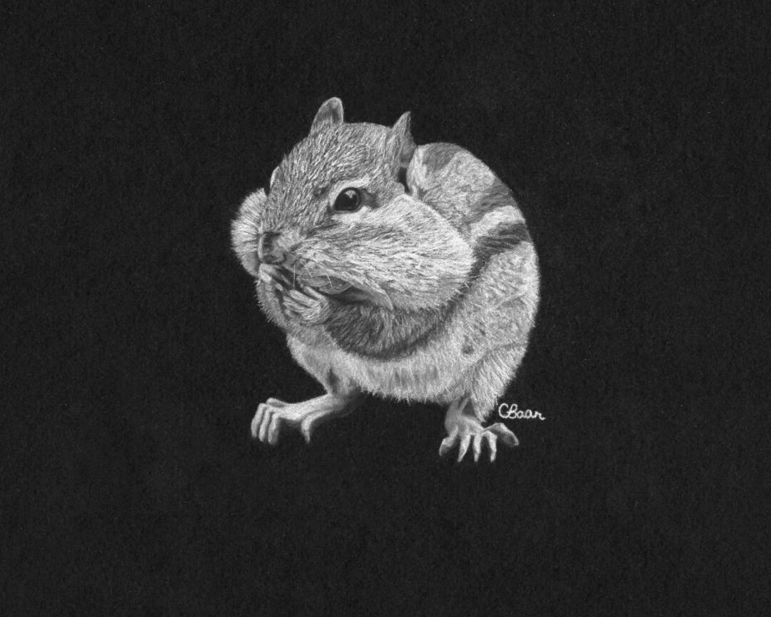 Chipmunk PRINT - Etsy