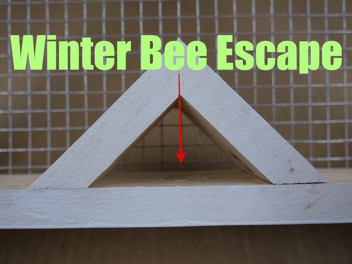 Bee Hive Premium Candy Board for 10 Frame Langstroth Hive - Etsy