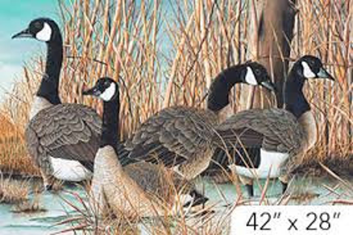 Naturescape - Canada Goose Quilt Kit ~ by Northcott - Etsy