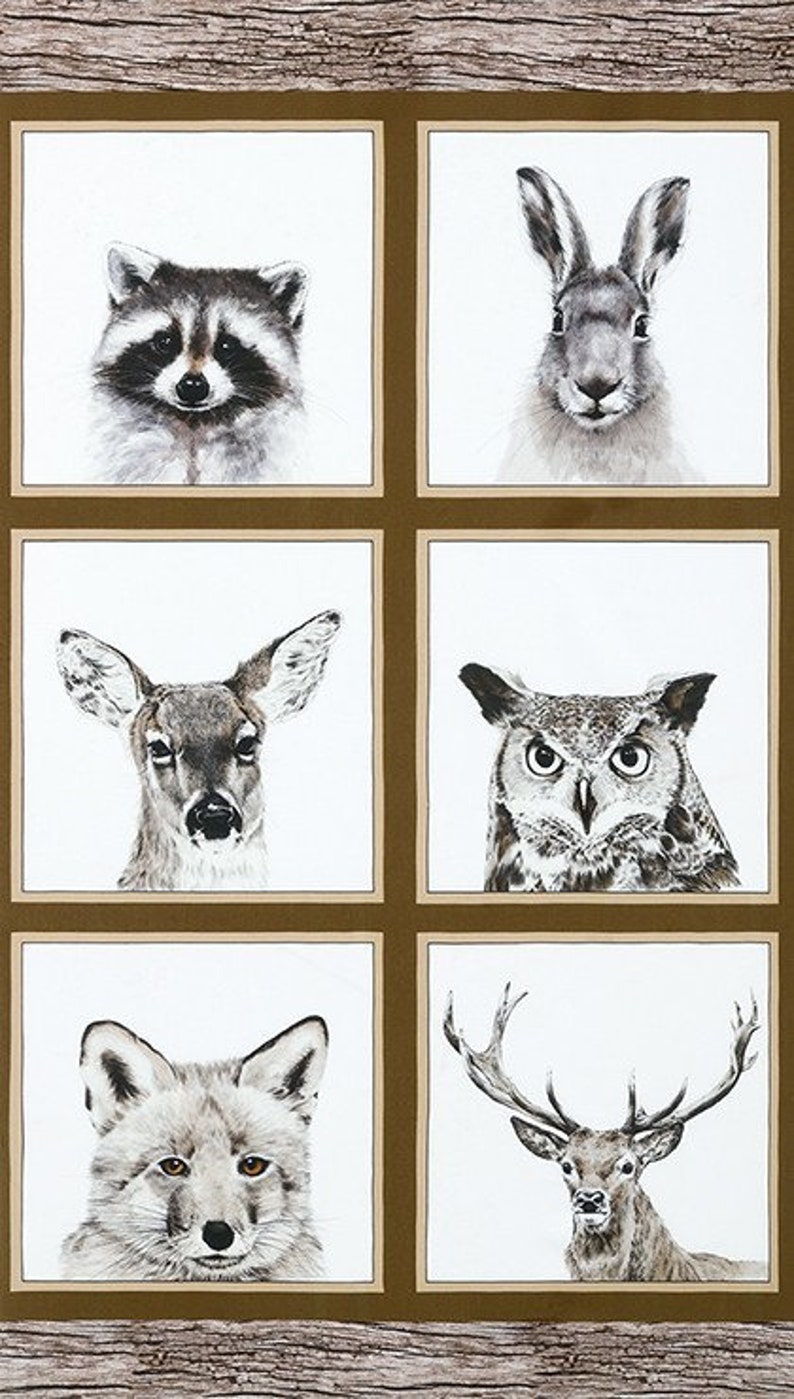 Animal Kingdom Panel ~ Robert Kaufman Fabrics - Etsy