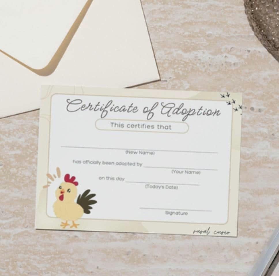 Printable Chicken Adoption Certificate Crochet Craft Show Print ...
