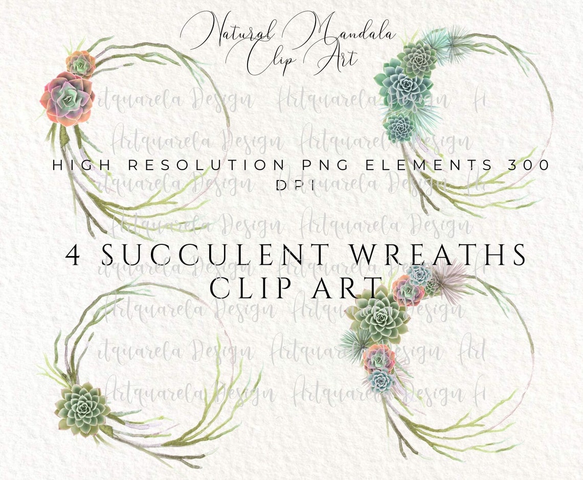 4 Succulents Wreaths Clip Art Greenery Frames Cactus PNG - Etsy