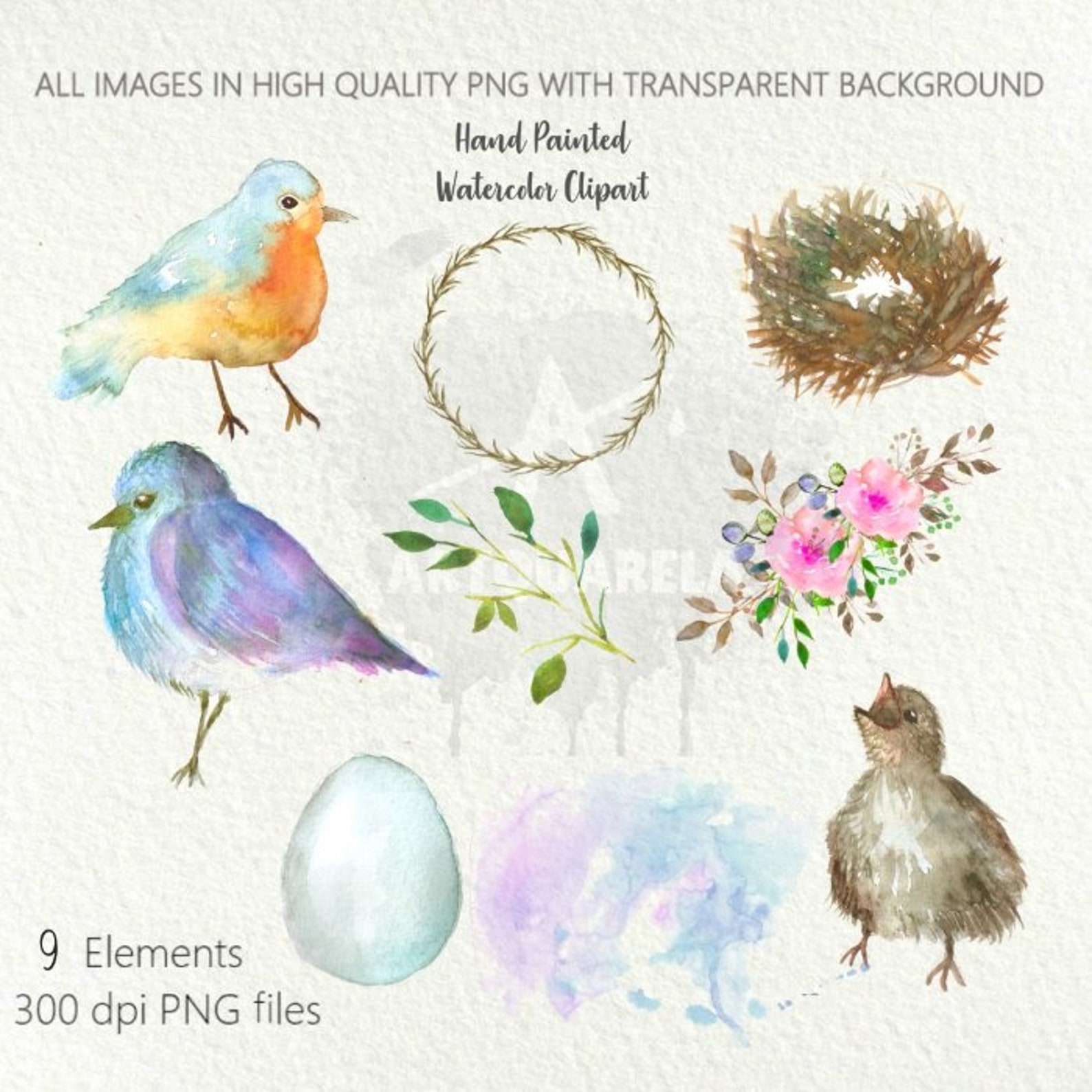 Watercolour Cute Birds Clipart-bird Nests eggsbranches | Etsy