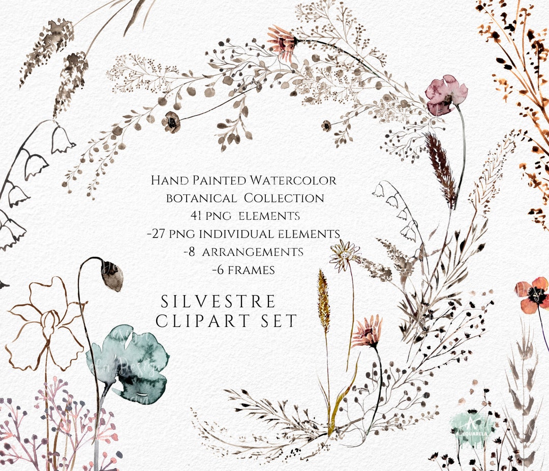 Watercolor Botanical Clipart Collection, Png,frames, Boho Neutral Brown ...