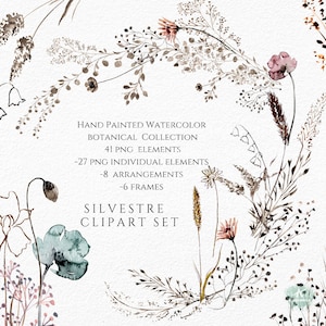 Watercolor Botanical Clipart Collection, Png,frames, Boho Neutral Brown ...