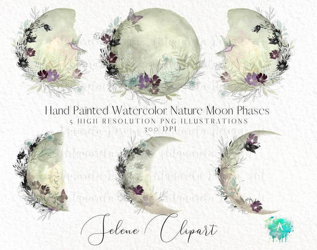 Moon Phases Clipart Watercolor Nature and Greenery Moon Boho ...