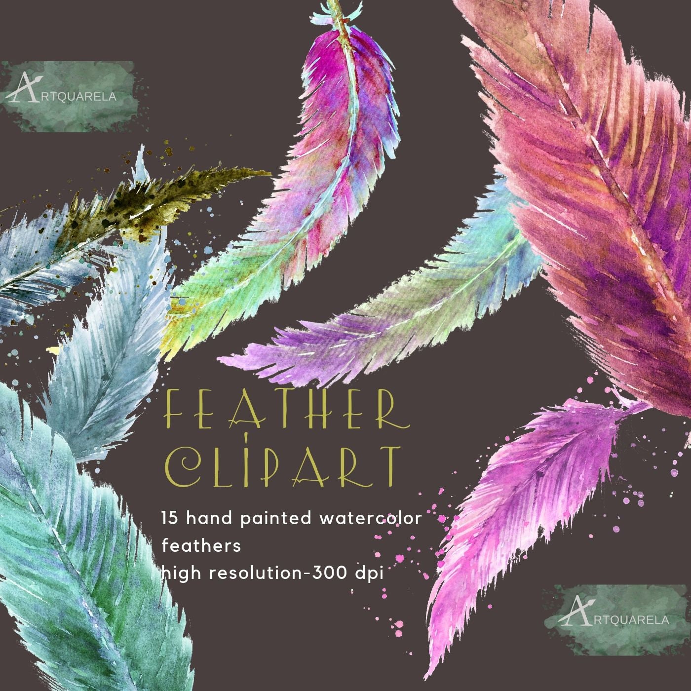 Feather Watercolor ClipartFeather SetDigital Feathers Free | Etsy