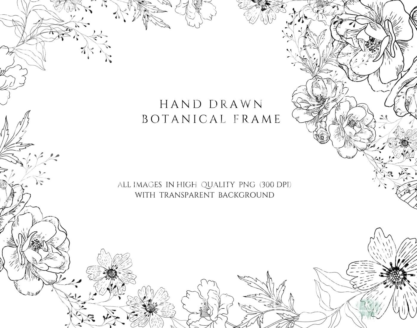 Hand Drawn Botanical Floral Frame PNG Clipart-wild Flowers - Etsy UK