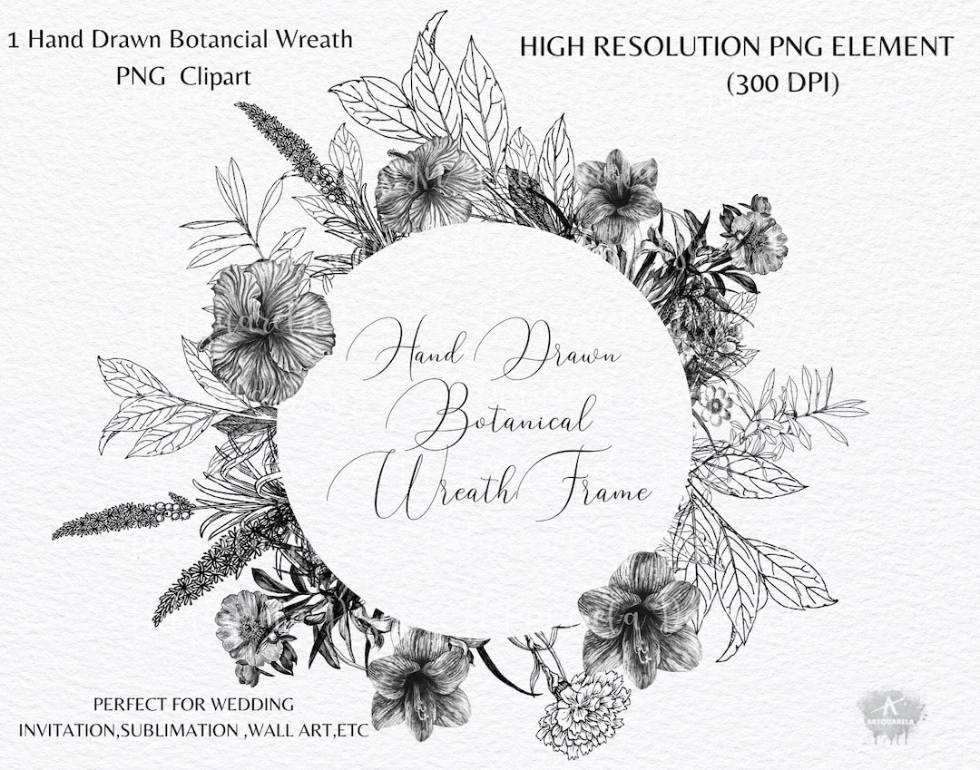 Hand Drawn Botanical Wreath Frame PNG Wreath Frame Clipart Wedding ...