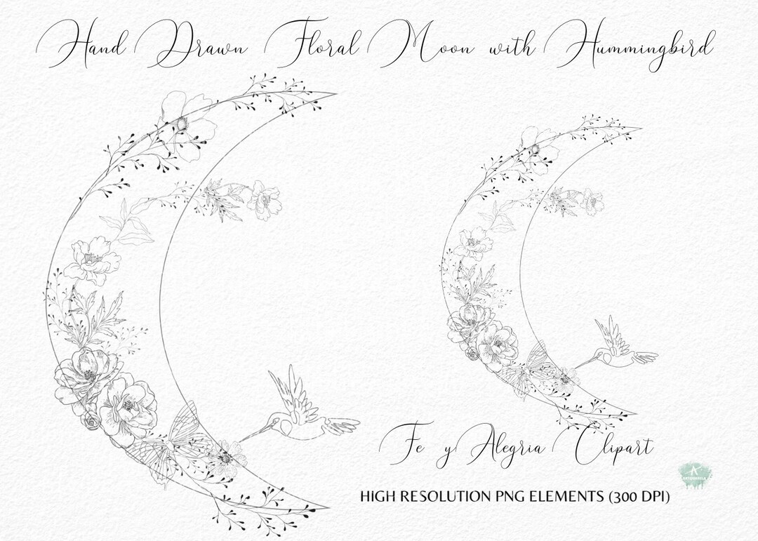 Floral Moon Hummingbird Frame: Hand-drawn PNG Clipart (commercial Use ...