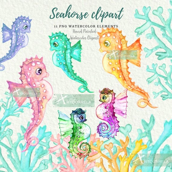 Seahorse Clipart Watercolor Colorful Seahorse Png Rainbow | Etsy