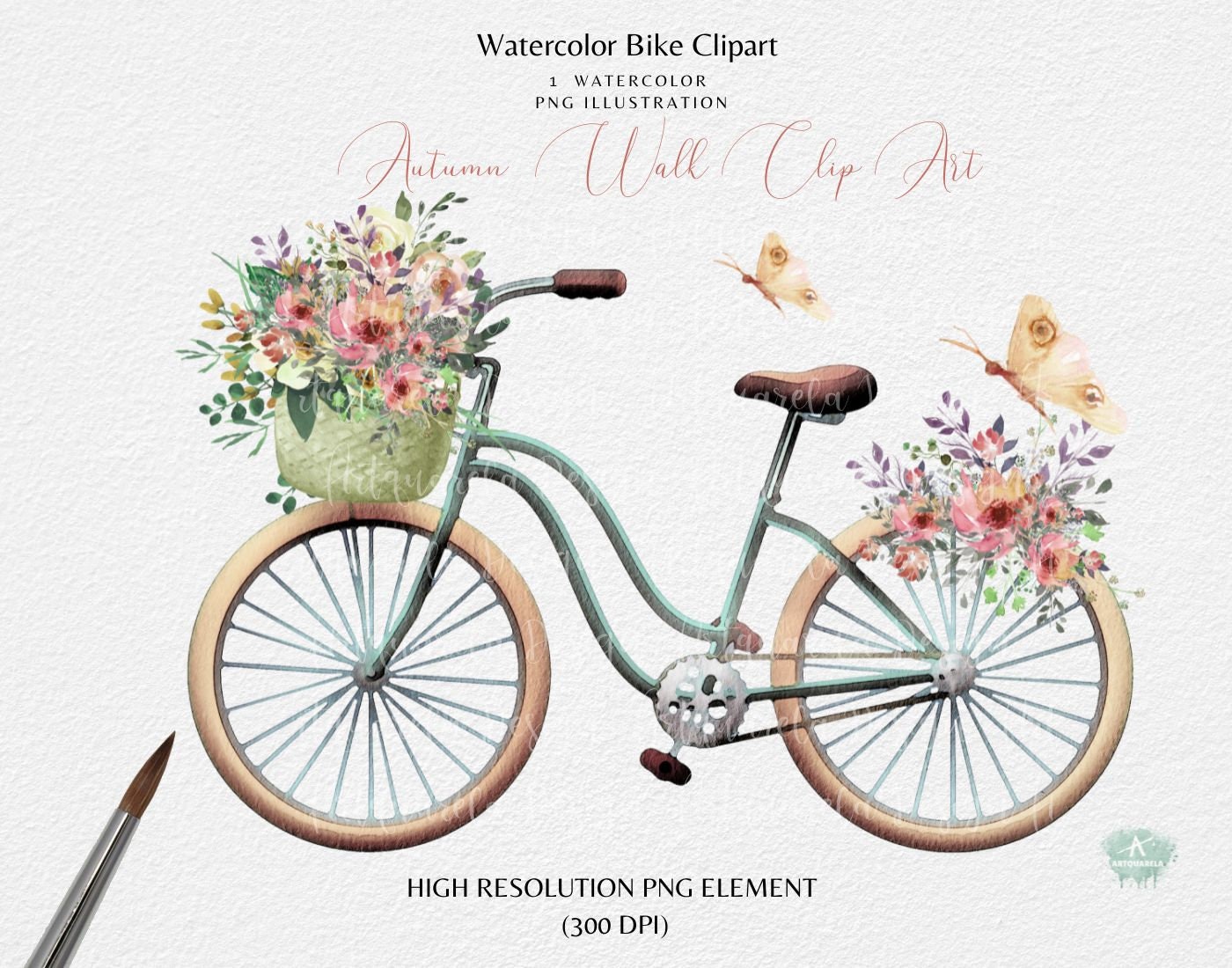 Vintage Bicycle Illustration Flower Basket