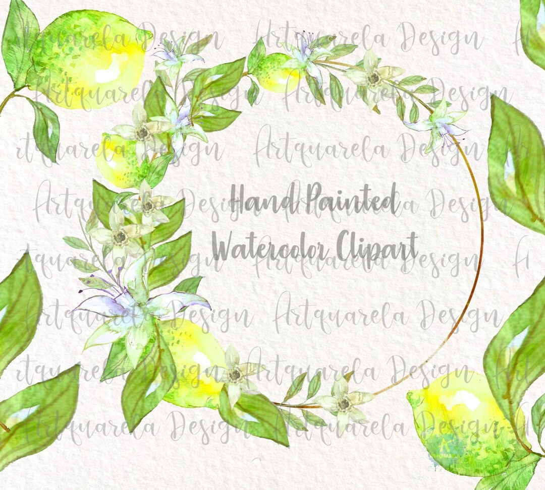 Hand Painted Watercolor Lemon Clipart Fruit Citrus Fruits Set Clip Art ...