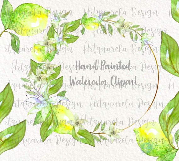 Hand Painted Watercolor Lemon Clipart Fruit Citrus Fruits Set | Etsy