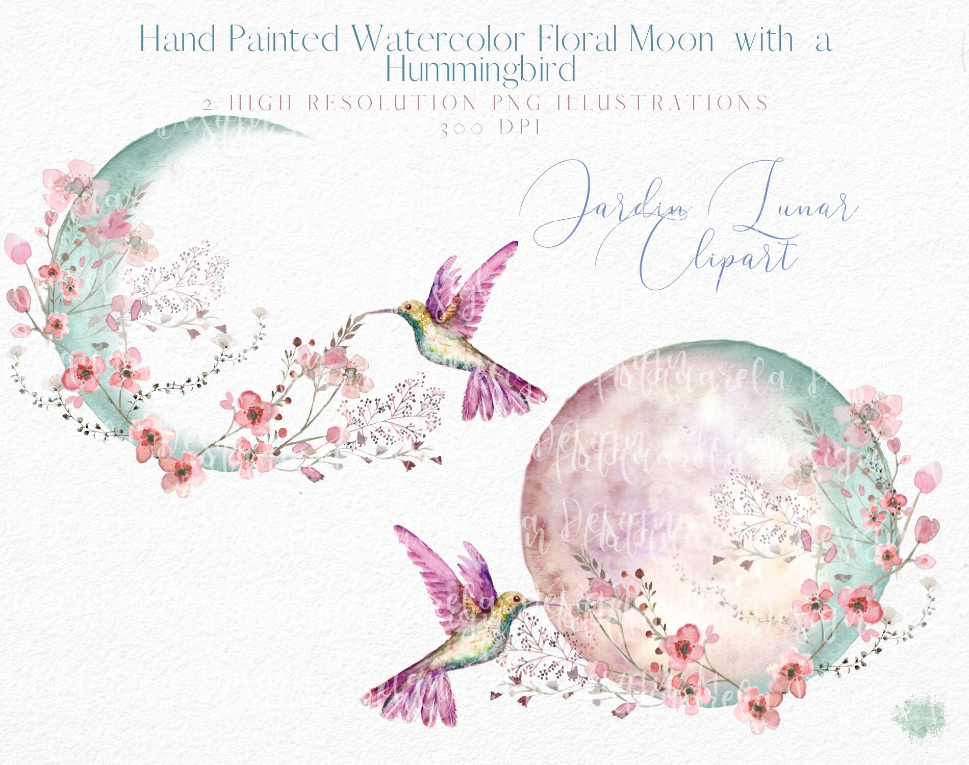 Floral Moon With a Hummingbird Clipart-watercolor Moon cherry - Etsy
