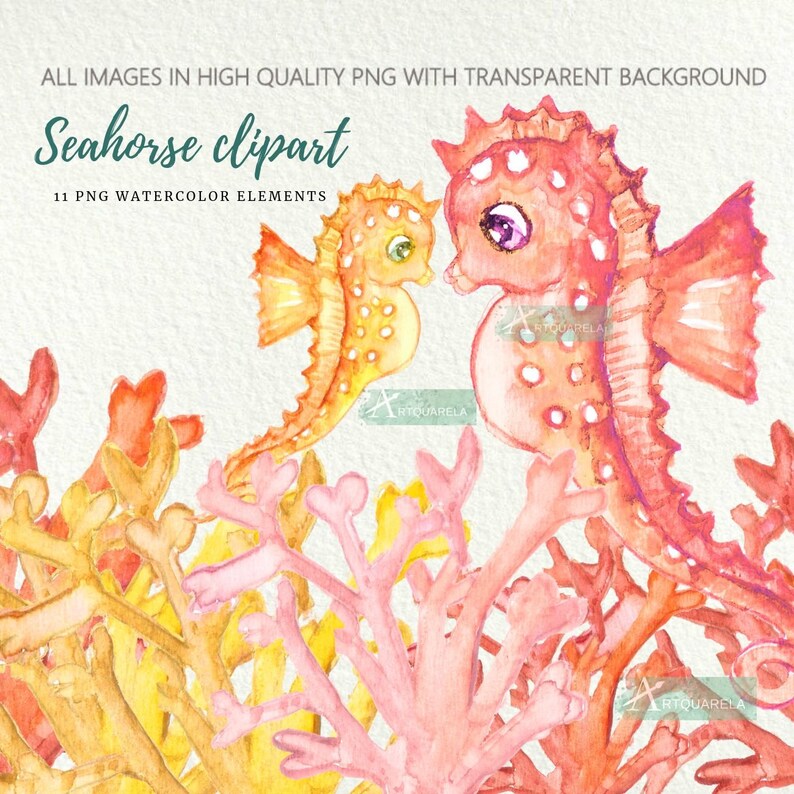 Seahorse Clipart Watercolor Colorful Seahorse Png Rainbow | Etsy