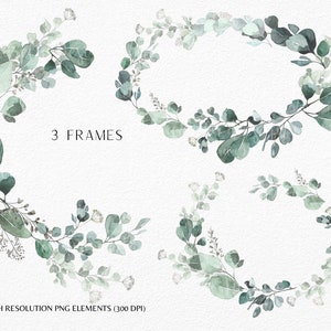 Hand Painted Watercolor Eucalyptus Clipart Bundle Clipart Greenery ...