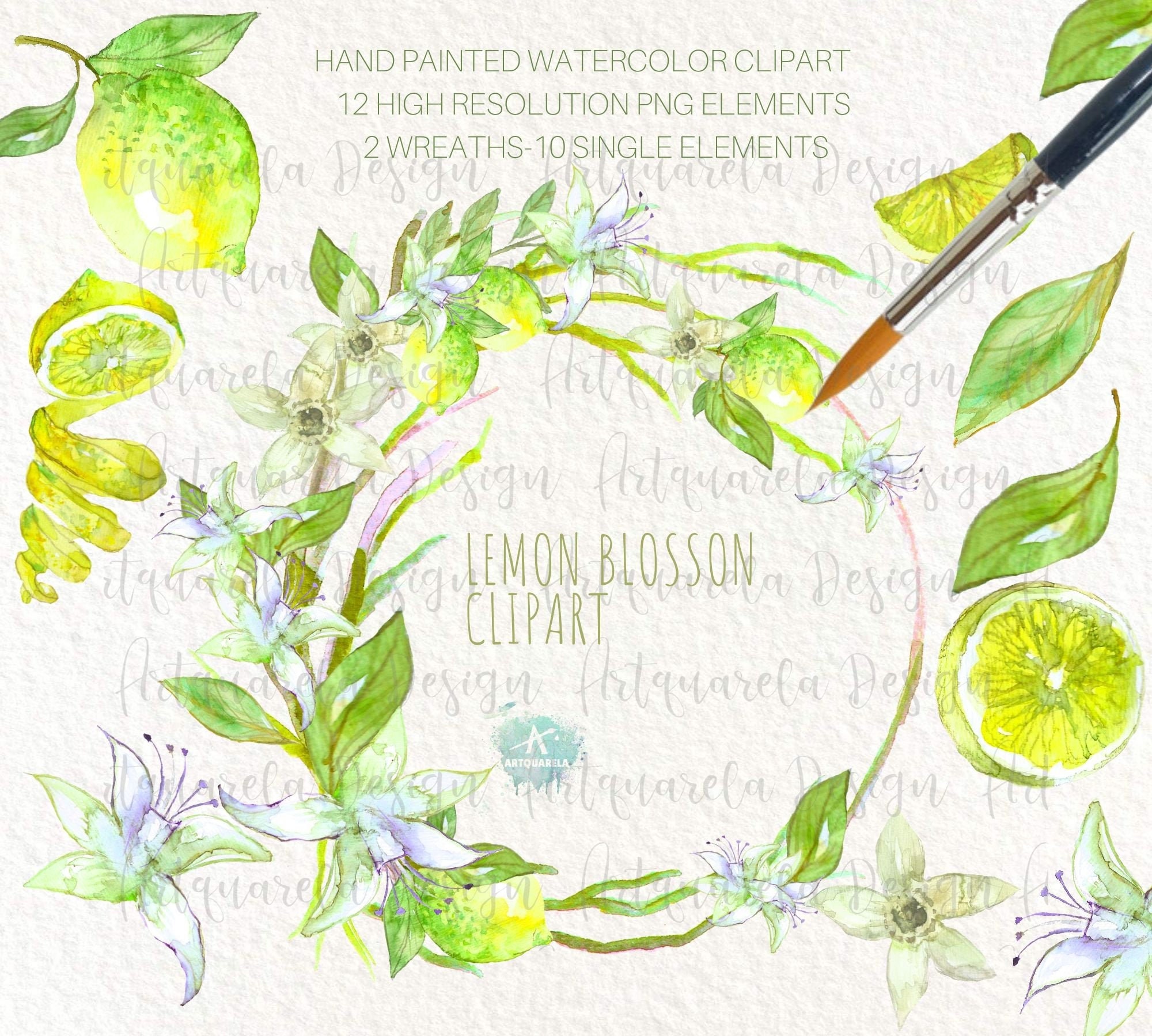 Hand Painted Watercolor Lemon Clipart Fruit Citrus Fruits Set | Etsy