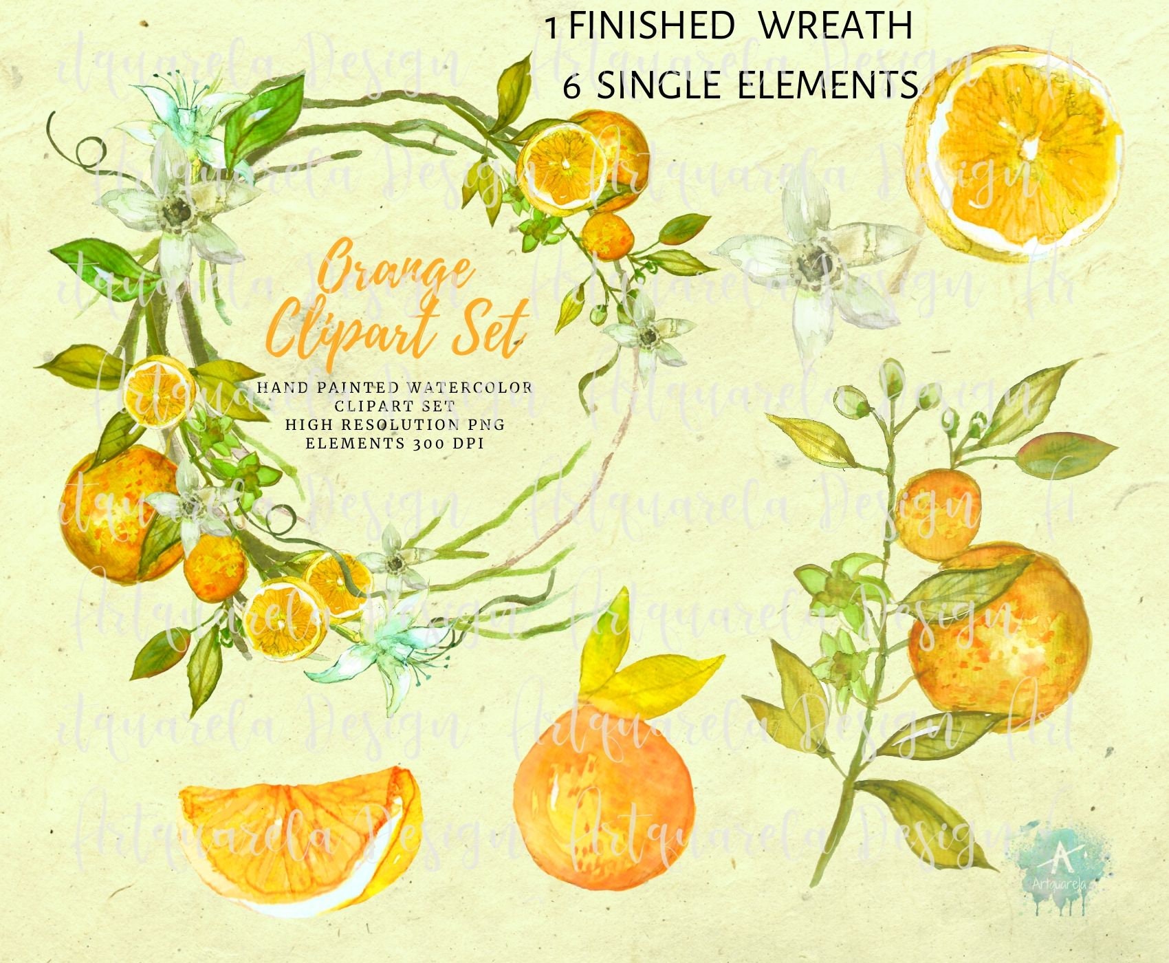 Orange Clip Art Set Hand Painted Watercolor Orange Wreath - Etsy