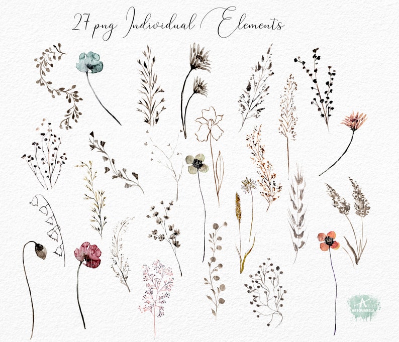 Watercolor Botanical Clipart Collection Pngframes Boho - Etsy