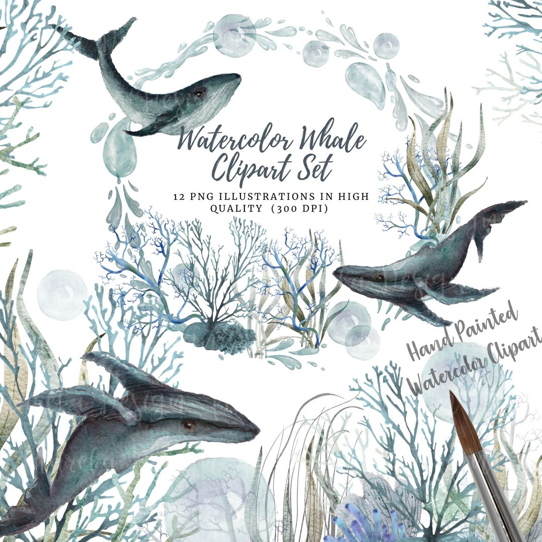 Whale Clip Art Set- Hand Painted Watercolor Whales Frames-arrangements ...