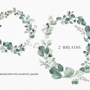 Hand Painted Watercolor Eucalyptus Clipart Bundle Clipart Greenery ...