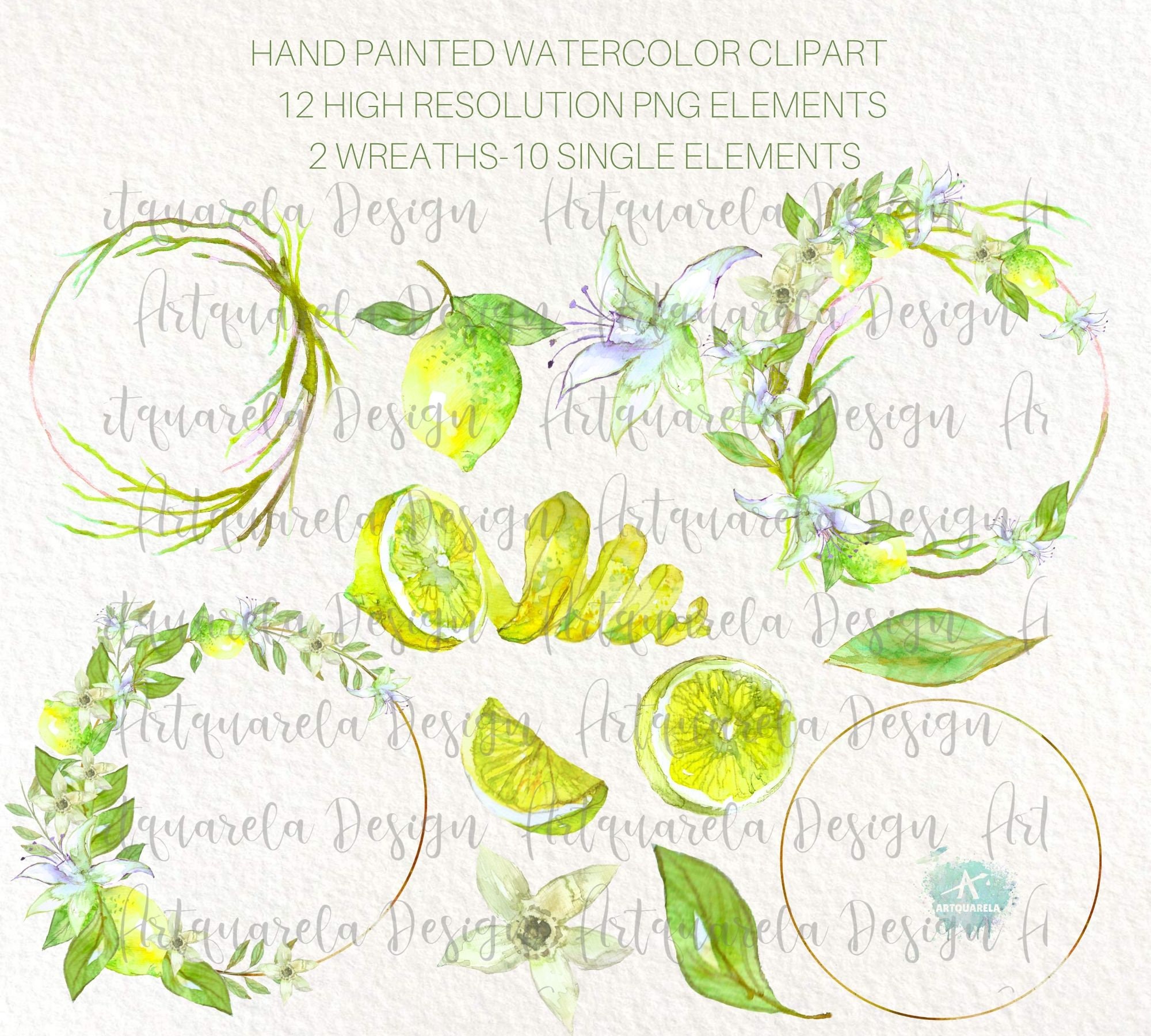 Hand Painted Watercolor Lemon Clipart Fruit Citrus Fruits Set | Etsy