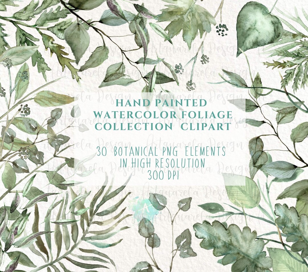 Watercolor Clipart Foliage Collection Forest Leaves Clipart,branches ...