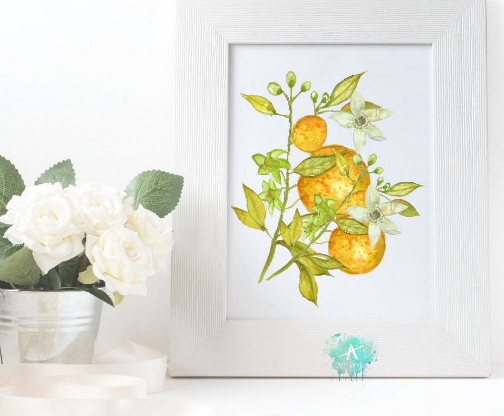 Orange Clip Art Set Hand Painted Watercolor Orange Wreath | Etsy