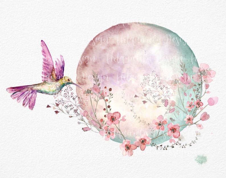 Floral Moon With a Hummingbird Clipart-watercolor Moon cherry - Etsy