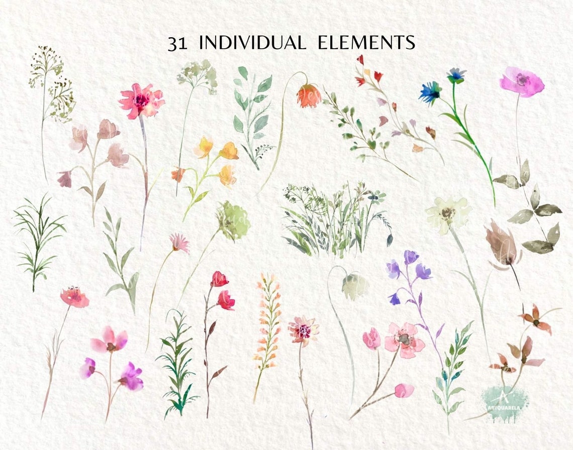 Wildflowers Watercolor Clipart Setcolorful - Etsy