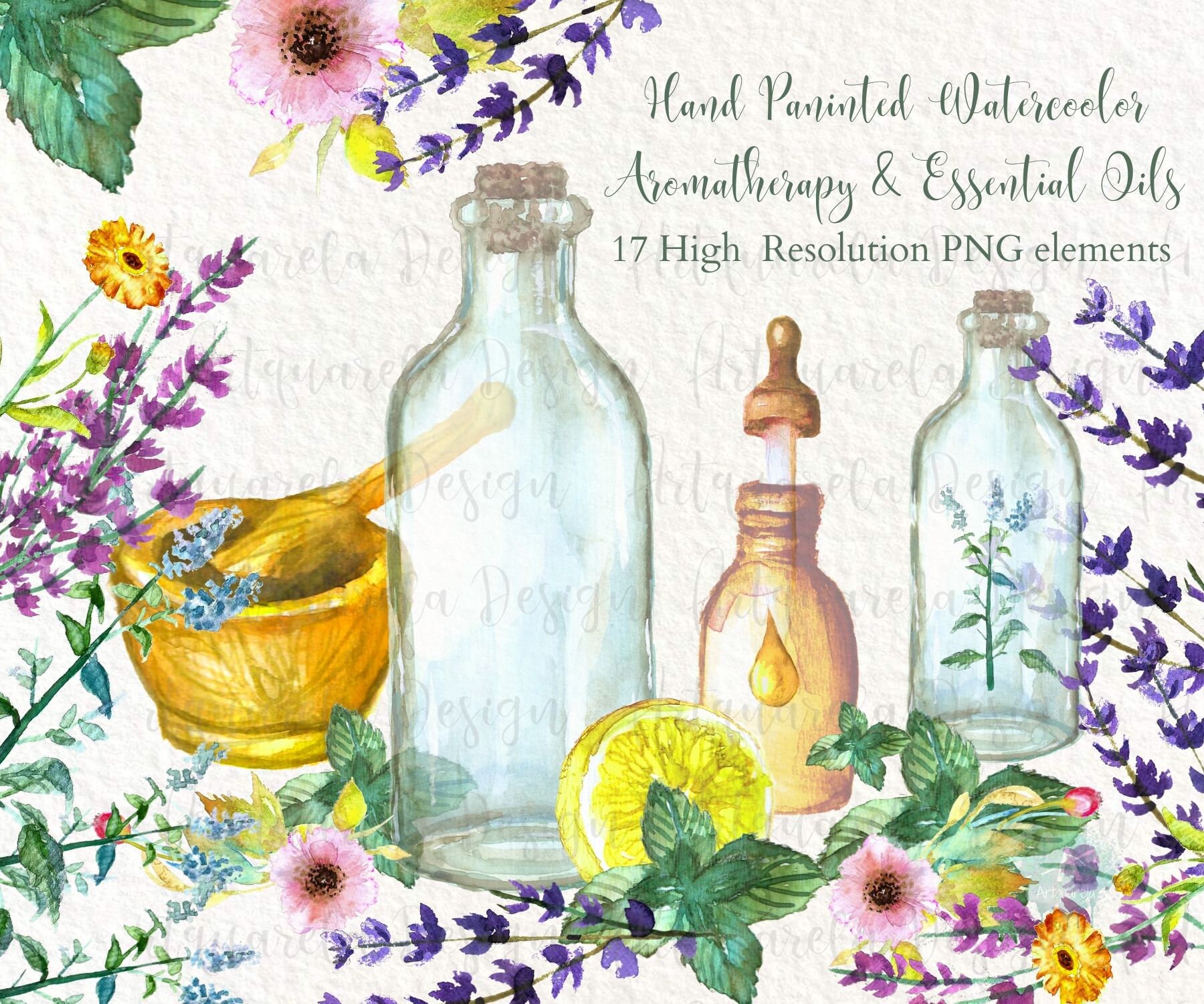 Spa Watercolor Essential Oils Bottle Clipart - Etsy