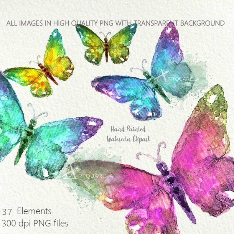 37 Watercolor Butterflies Collection Clipart Colorful - Etsy