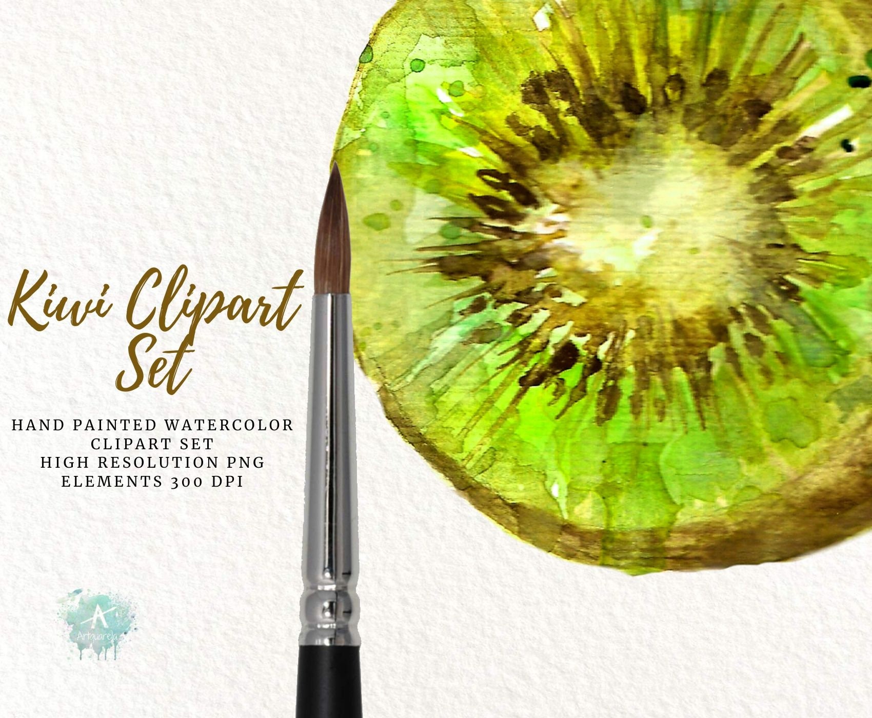 Kiwi Clip Art Set hand Painted Watercolor Kiwi kiwi Frame - Etsy