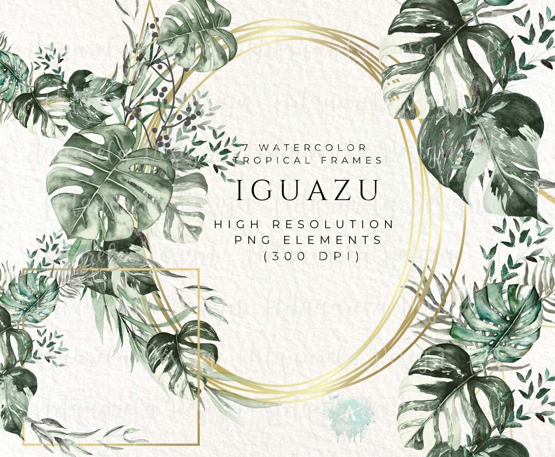 Watercolor Tropical Frames Clipart: Gold Monstera Leaves (PNG Digital ...