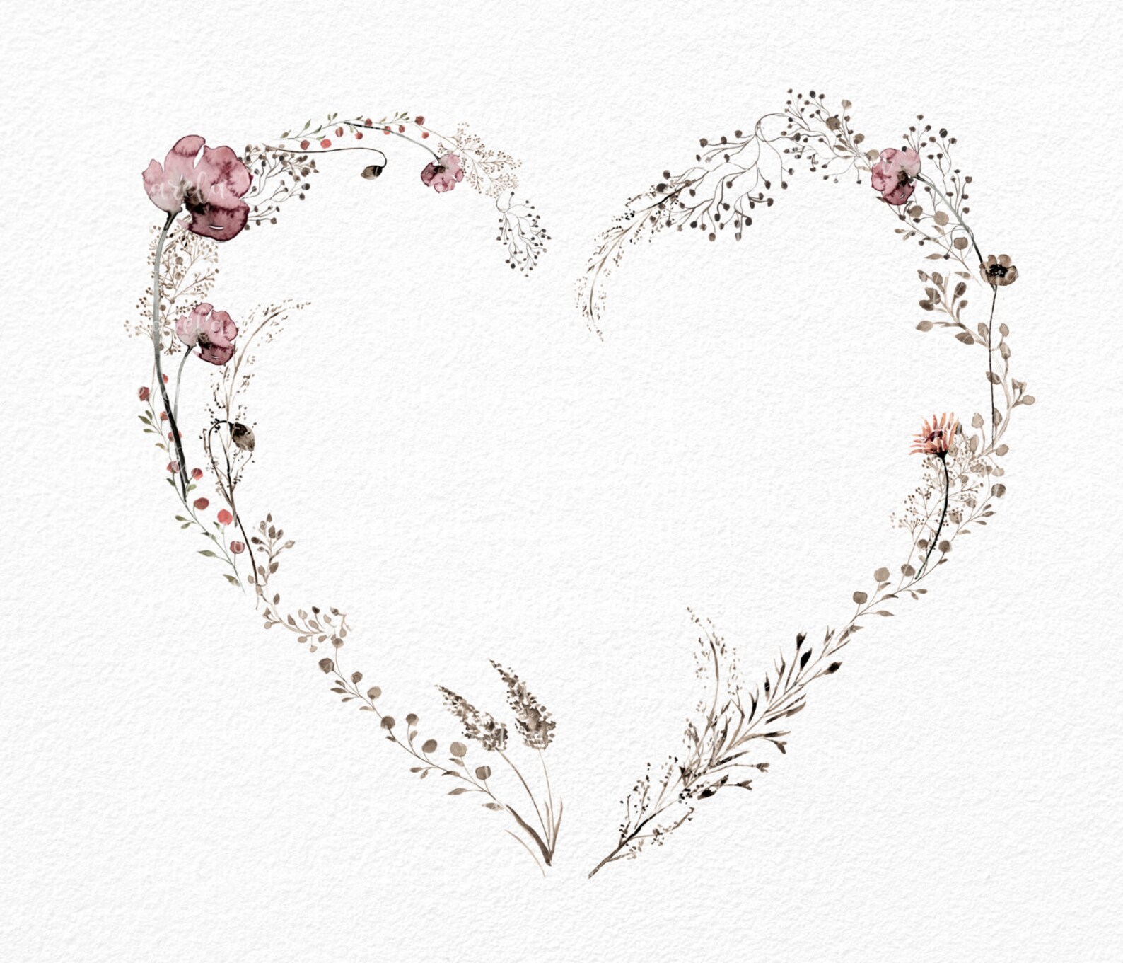 Watercolor Botanical Clipart Collection Pngframes Boho - Etsy