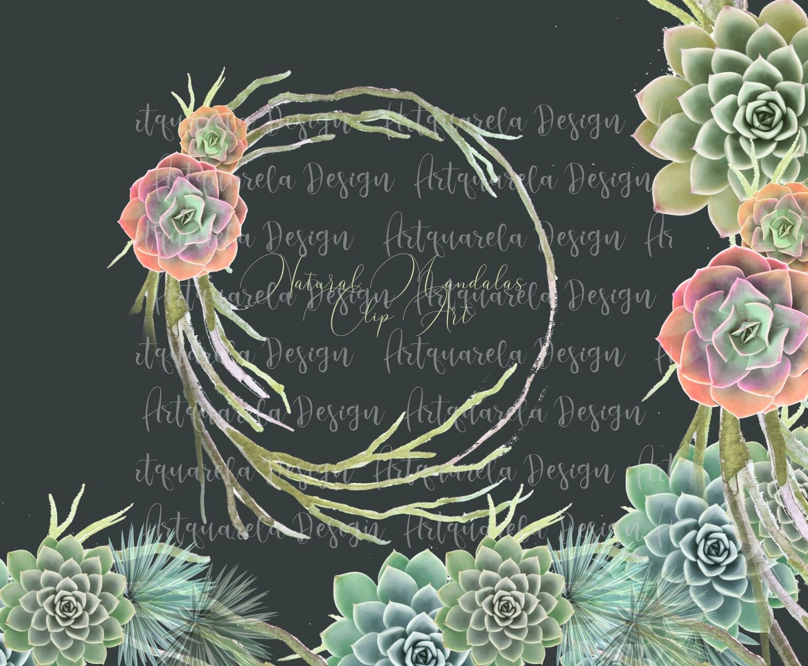 4 Succulents Wreaths Clip Art Greenery Frames Cactus PNG | Etsy