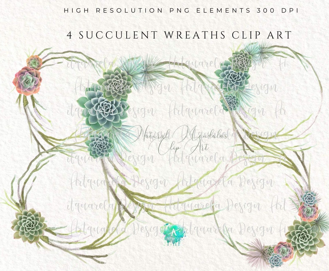 4 Succulents Wreaths Clip Art Greenery Frames Cactus PNG | Etsy