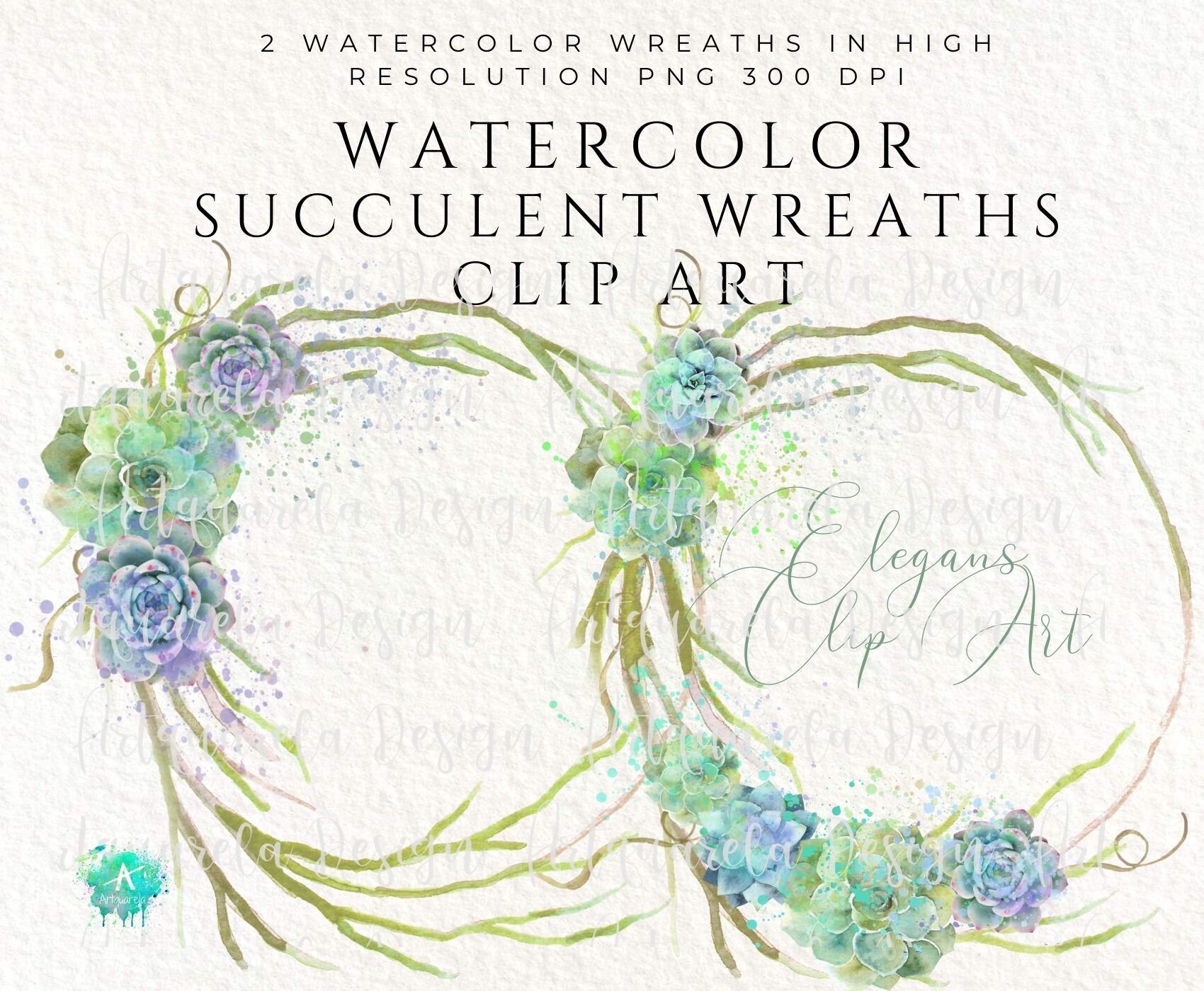 2 Watercolor Succulents Wreaths Clip Art boho - Etsy