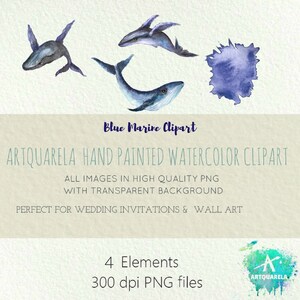 Whale Clipart, Hand Painted Watercolor Sea Animals Clip Art,,wild Fish ...