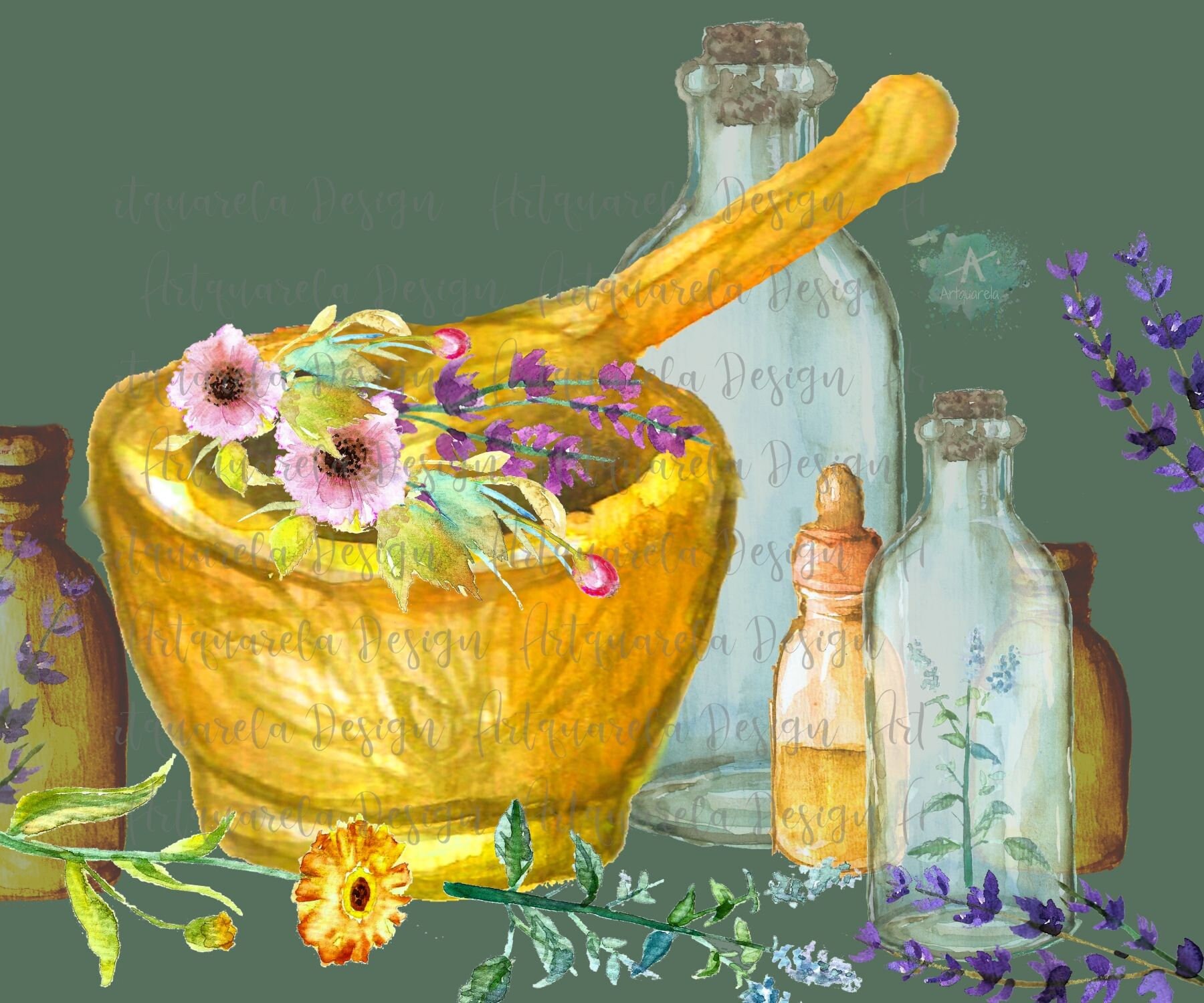 Spa Watercolor Essential Oils Bottle Clipart - Etsy