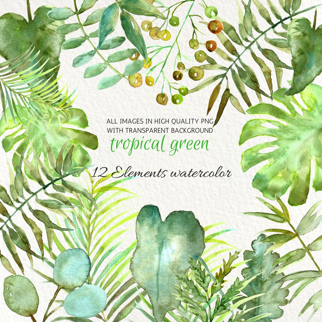 Watercolor Tropical Leaves Set Clipart ,palm Leaf,monstera Png, Herbs ...