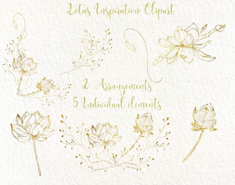 Gold Glitter Lotus Flowers Frames Clipart Set Gold Hand Drawn - Etsy