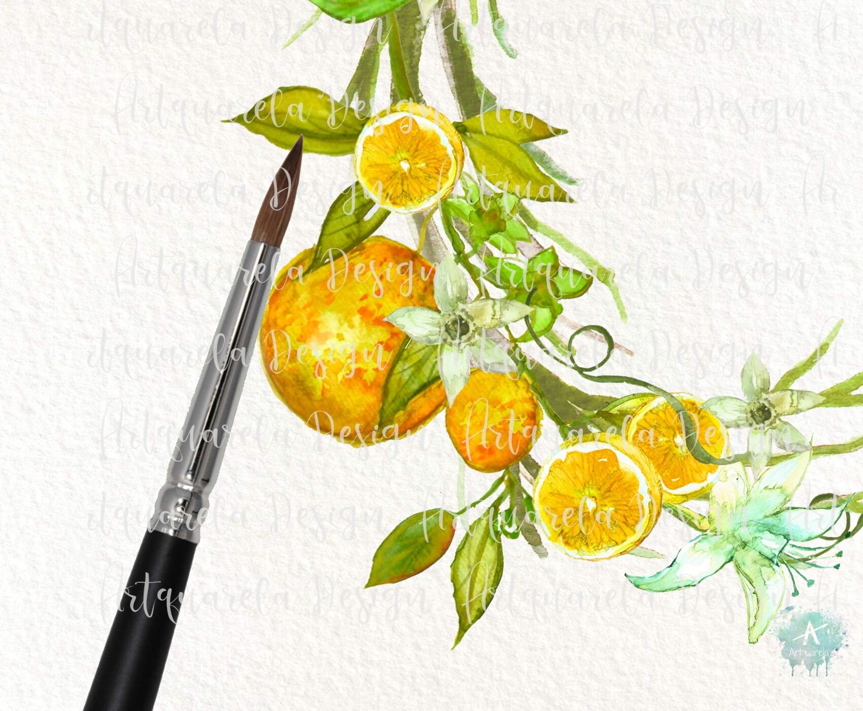 Orange Clip Art Set Hand Painted Watercolor Orange Wreath - Etsy